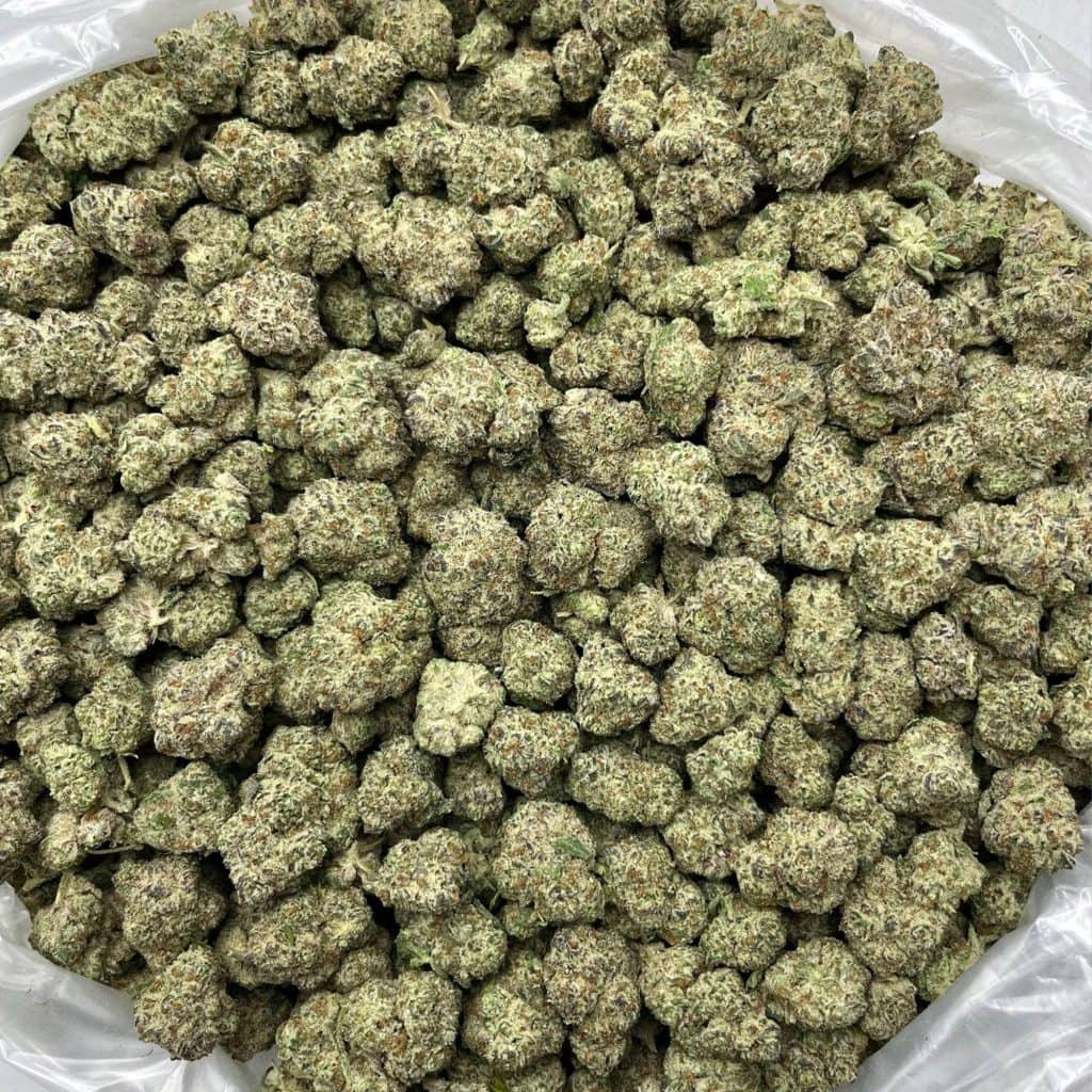 Oreoz THCA Flower | Top Shelf Premium THCA Flower Pounds