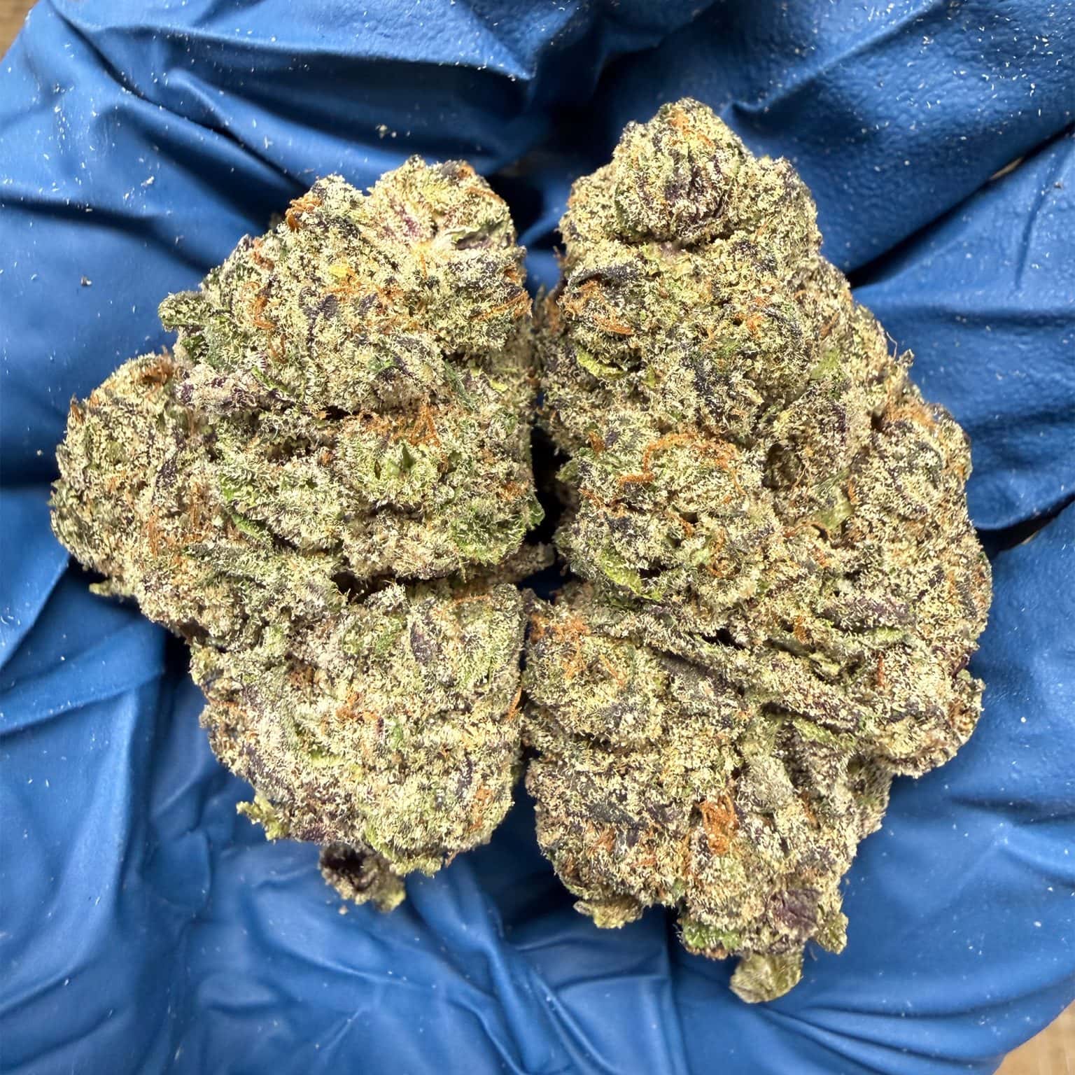 Sherbet THCA Flower Pounds - Wholesale THCA Flower Bulk