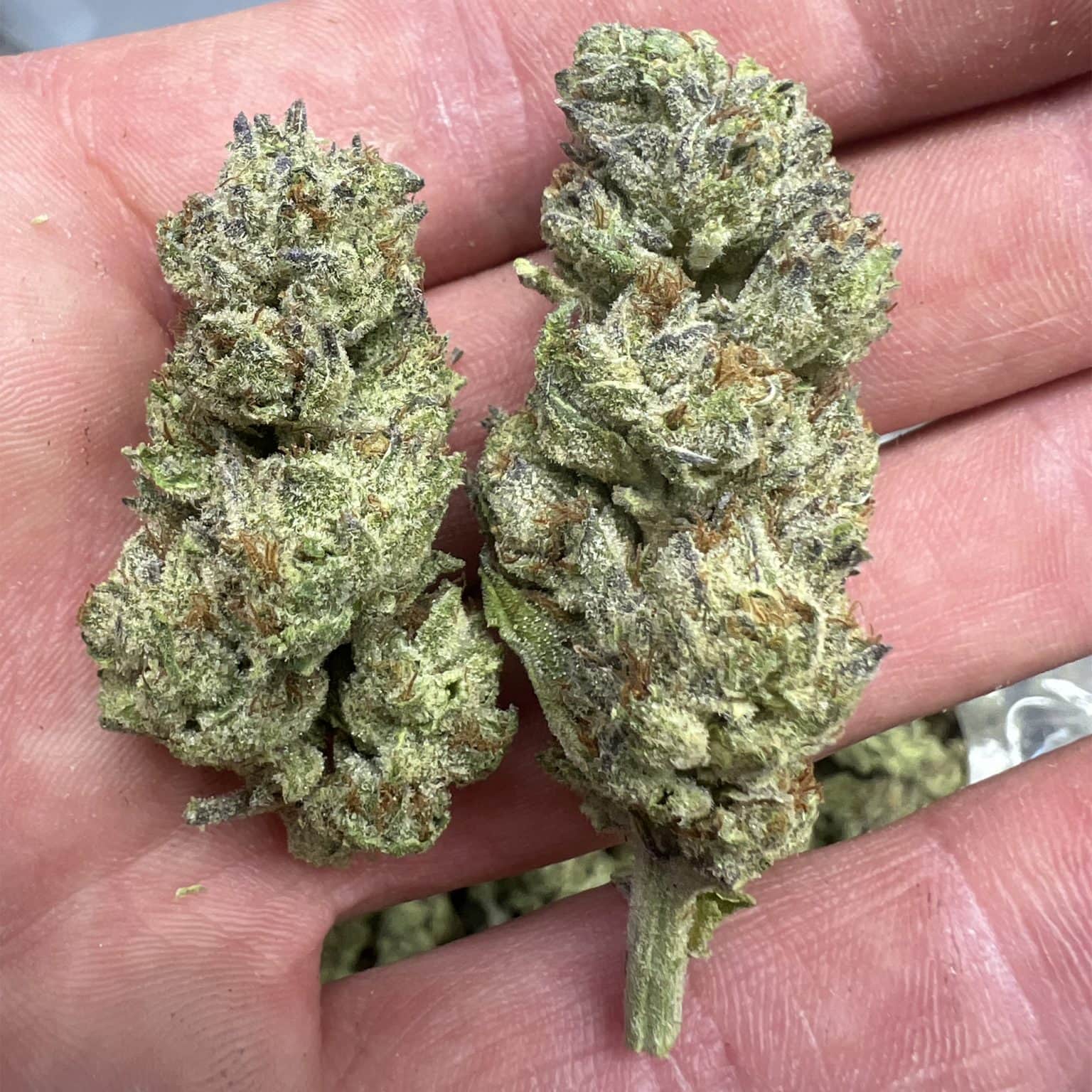 Super Buff Cherry THCA Flower | Exotic THCA Flower Pounds