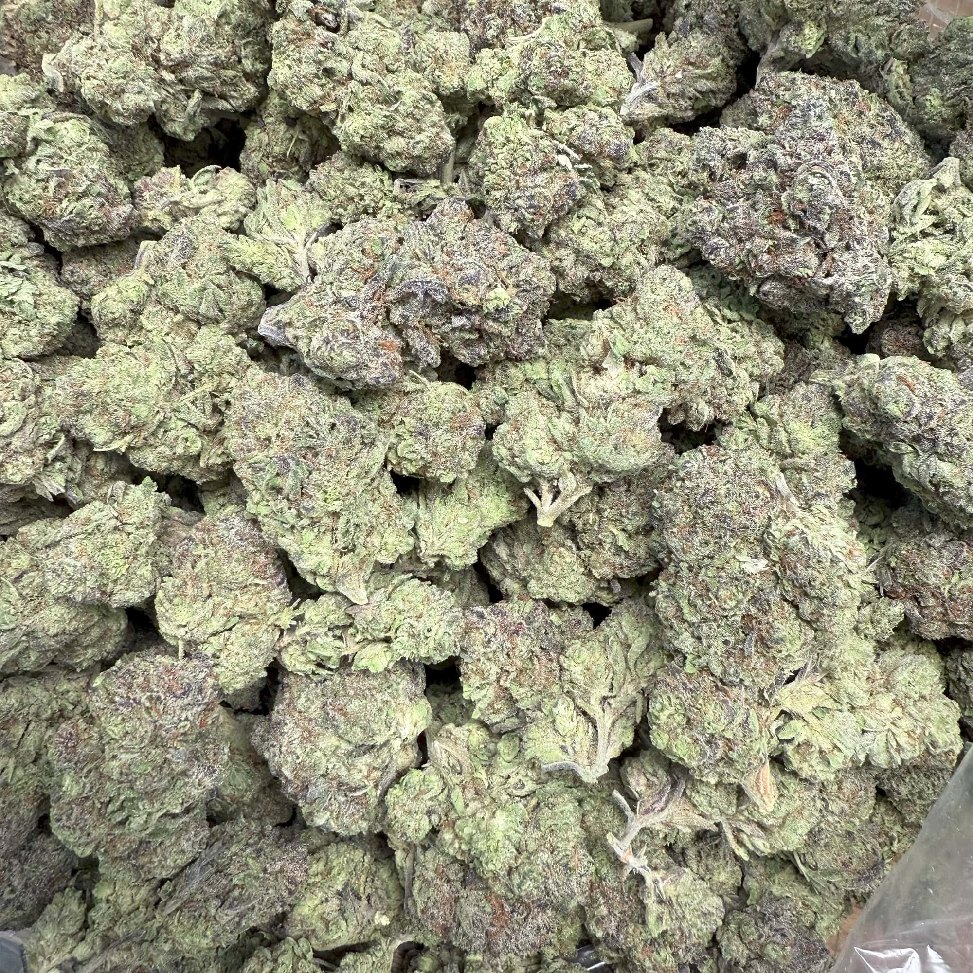 Rudeboi OG THCA Flower | Indica THCA Flower Pounds Delivered