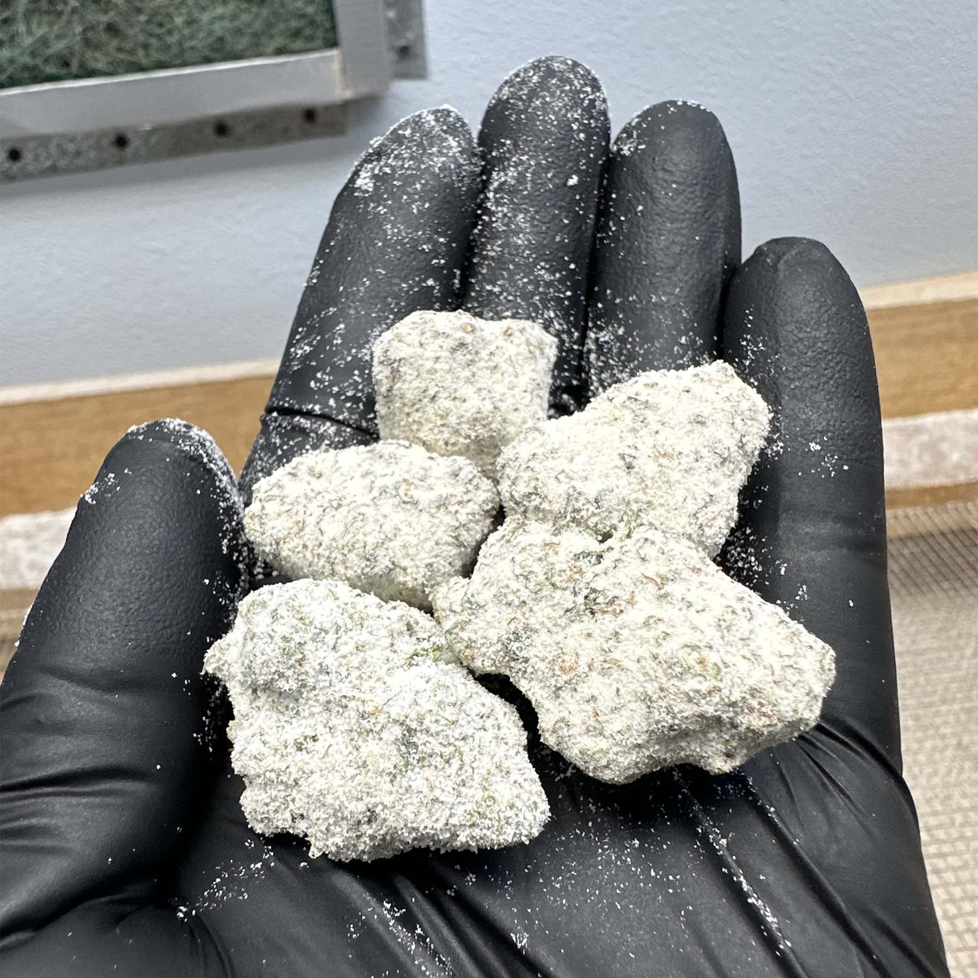 Trop Cherry THCA Snowcaps