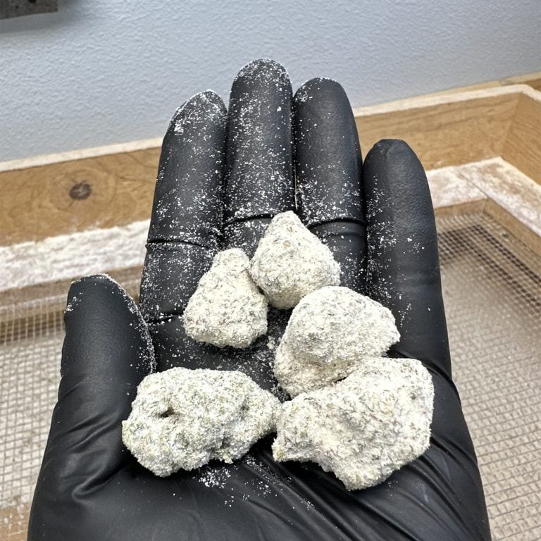 White Widow THCA Snowcaps | Bulk Snowcap THCA Flower Buds