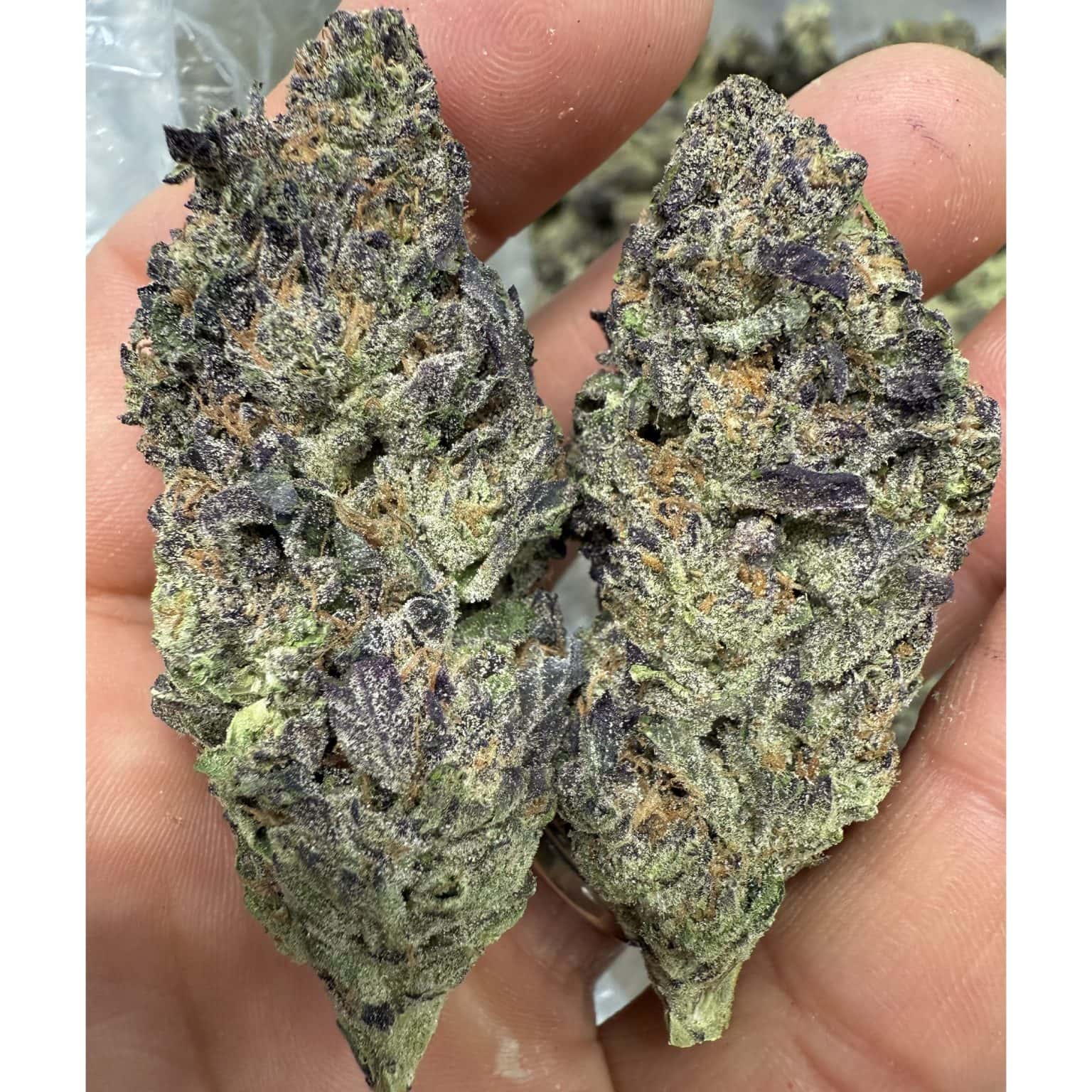 Gush Mintz THCA | Indica THCA Flower Pounds Wholesale