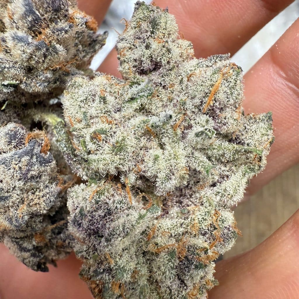 Gary Runtz THCA Flower | Exotic THCA Flower Bulk Pounds