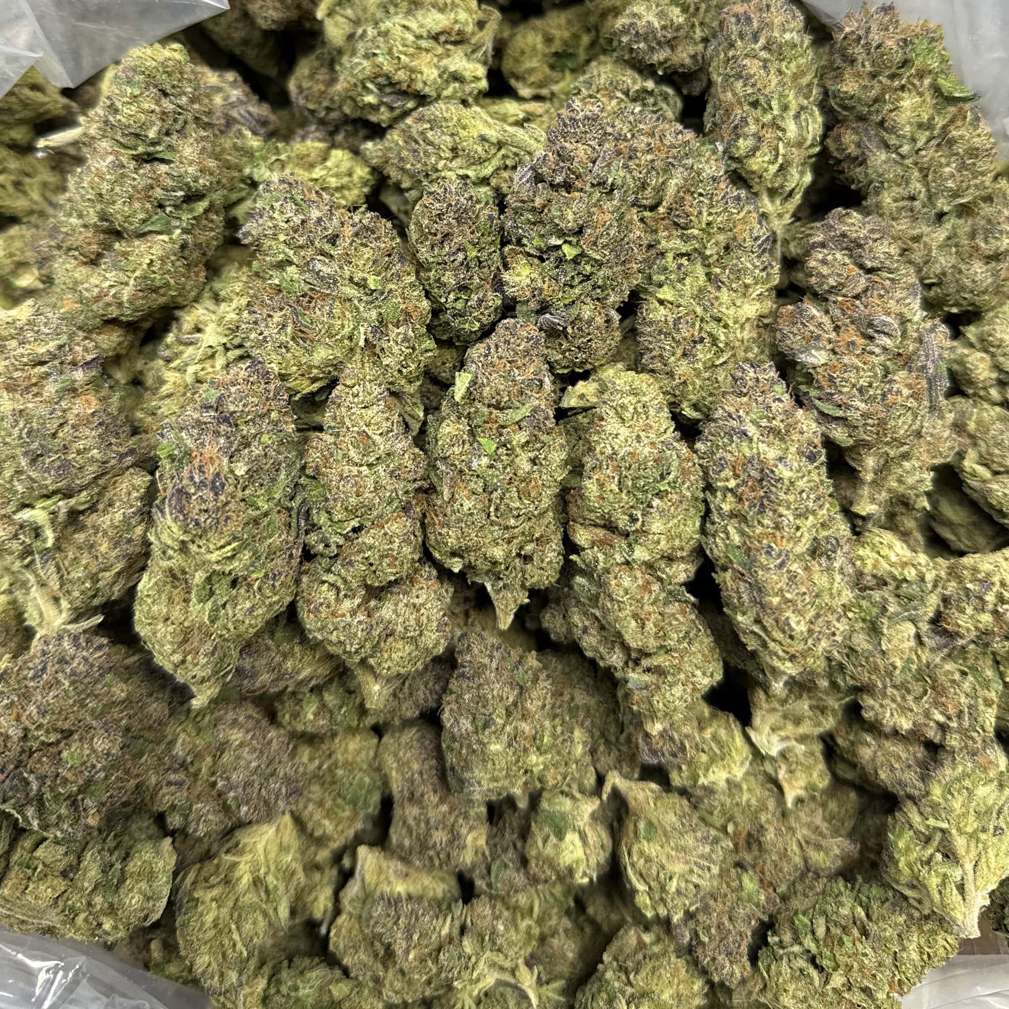 Hella Jelly THCA Flower Pounds | Wholesale THCA Flower Bulk