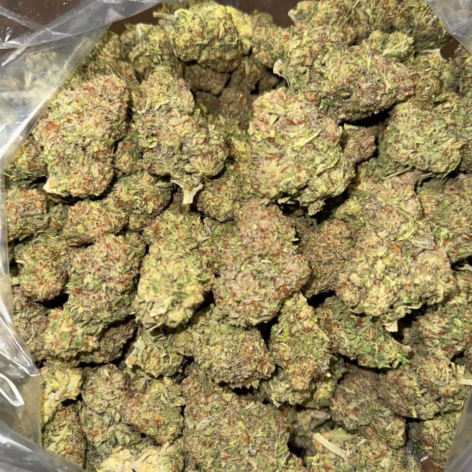 Obama Runtz THCA Flower Pounds | Bulk THCA Flower Wholesale