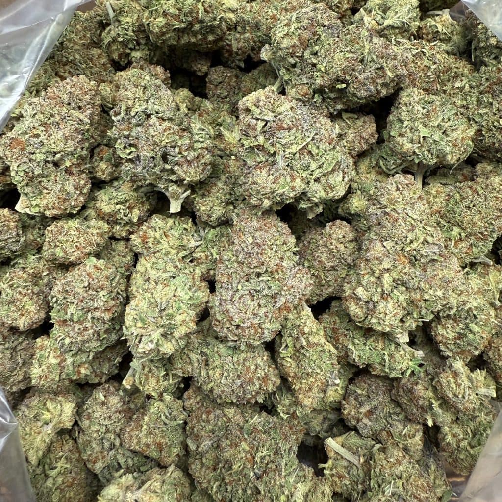 Obama Runtz THCA Flower Pounds | Bulk THCA Flower Wholesale