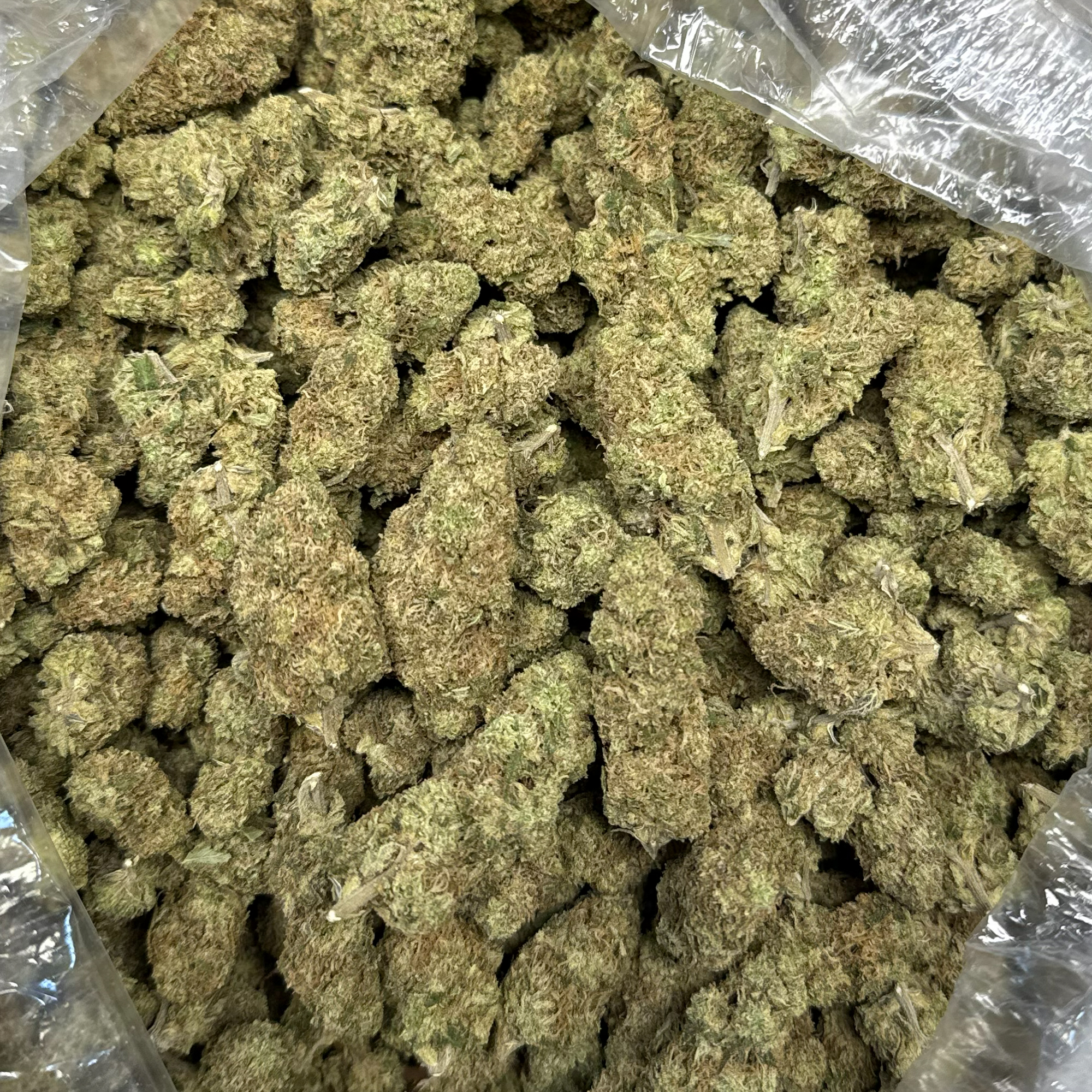 Mule Fuel THCA Flower Pounds | Light Dep THCA Flower Bulk